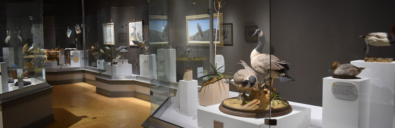 Visit - Ella Sharp Museum