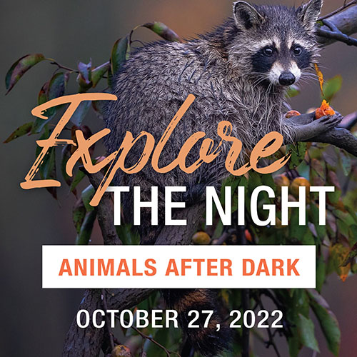 Explore the Night: Animals After Dark - Ella Sharp Museum