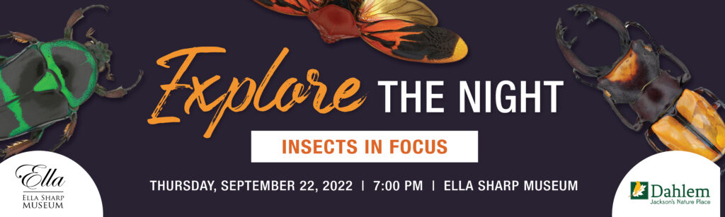 Explore the Night: Insects in Focus - Ella Sharp Museum