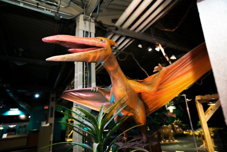 Dinosaur Safari - Ella Sharp Museum