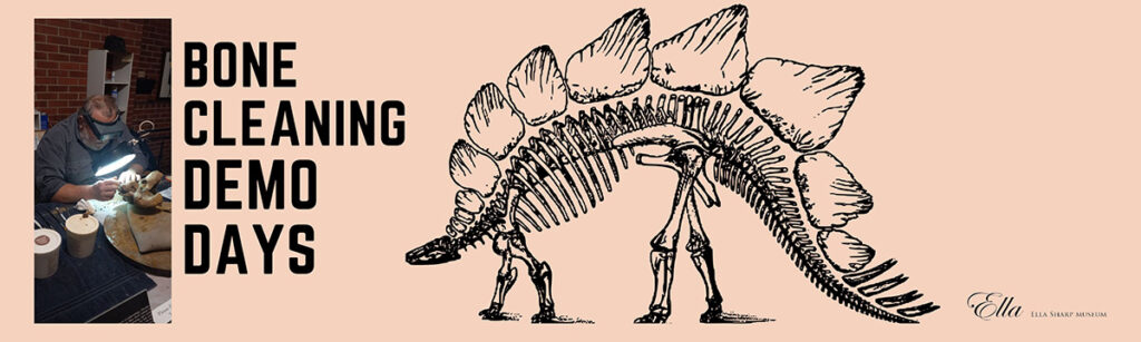 Bone Cleaning Demo Days - Ella Sharp Museum